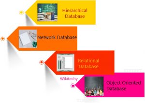 What are the different types of database management systems