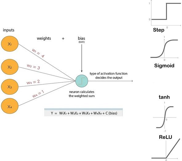 Convolutional Neural Networks :5 key Features of How AI Sees
