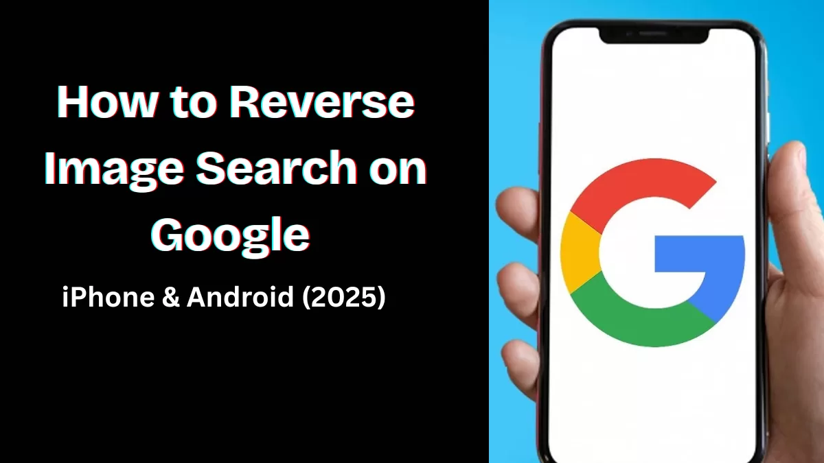 How to Use an API: Easy Guide & Tutorial for Beginners