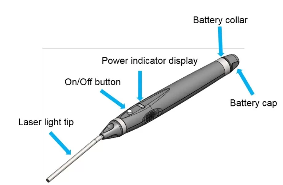 What Are Input Devices? 9 Types, Real Example in 2025