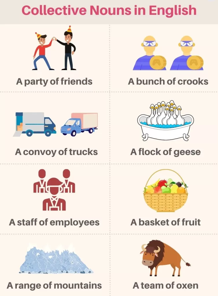 Collective Nouns Explained: Meaning, Uses & Easy Examples