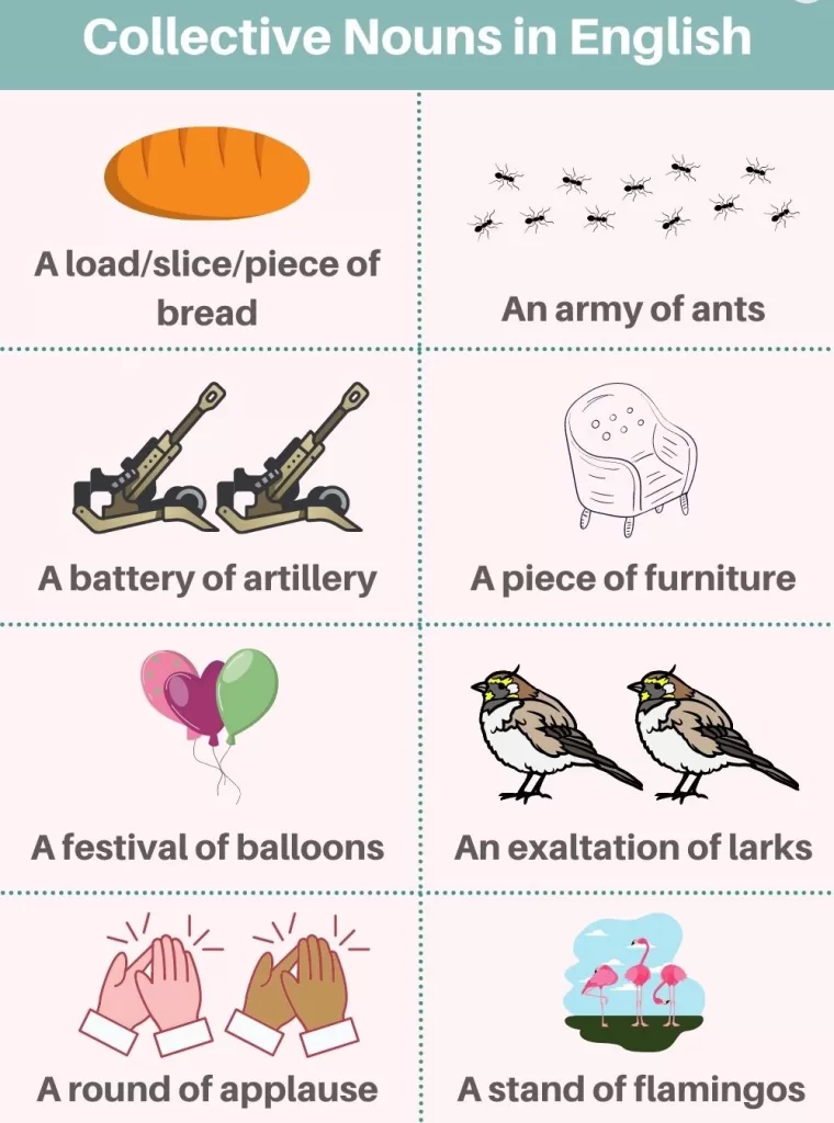 Collective Nouns Explained: Meaning, Uses & Easy Examples