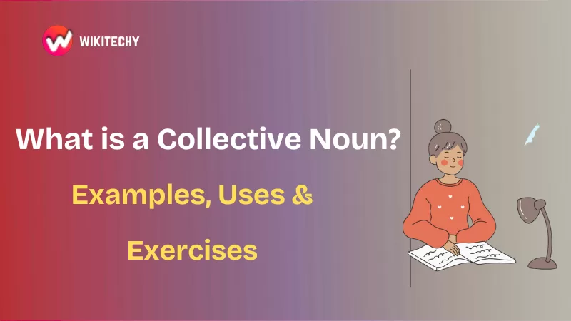 Collective Nouns Explained: Meaning, Uses & Easy Examples